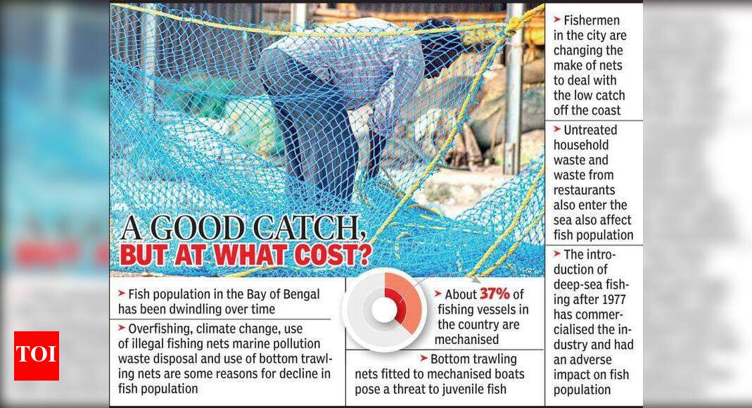 Draft report may curb sale of illegal fishing nets in city ...