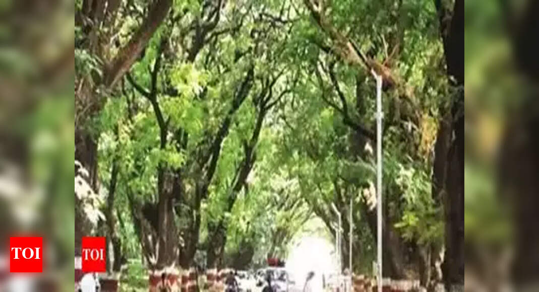 Tamil Nadu: PIL to save 75 trees facing axe at Egmore hospital ...
