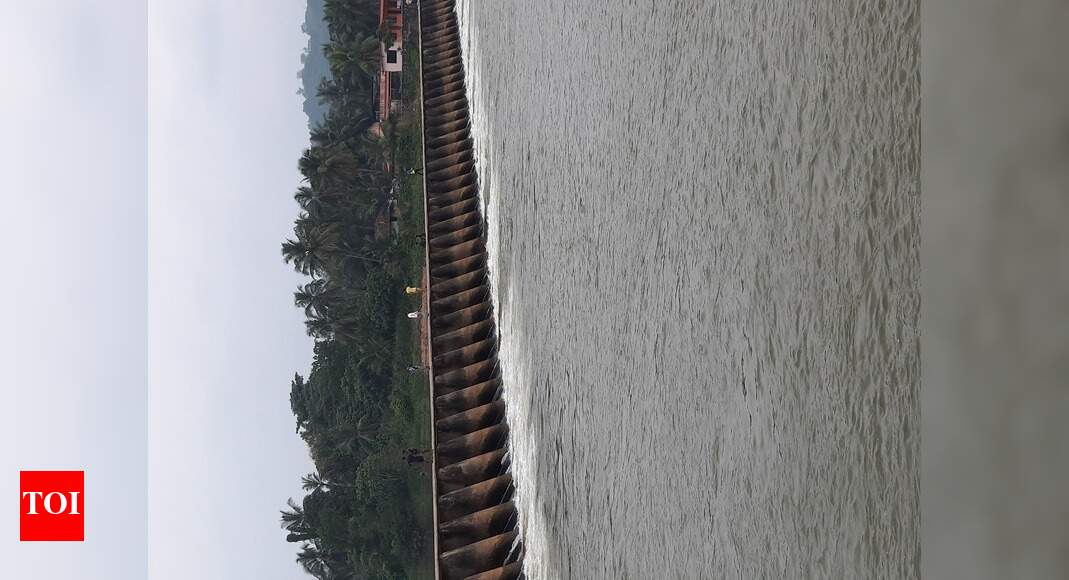 Maravoor Dam as no Safety barriers - Times of India