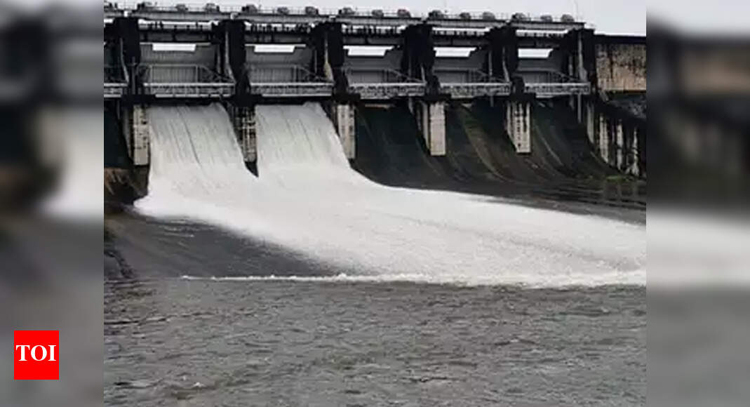 Tamil Nadu: Water released from two dams in Virudhunagar district ...