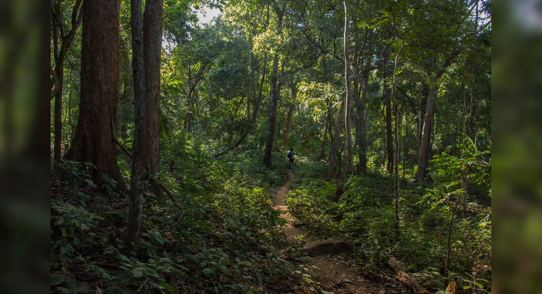 Ram Van Gaman Path in Chhattisgarh to be turned into tourist hotspot ...