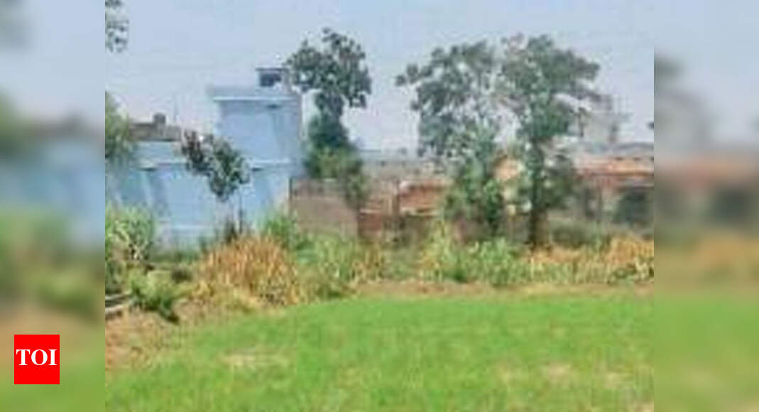 Phagwara technique yields same as traditional but uses only 10% water ...