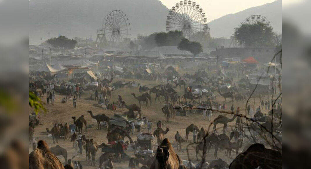 Sonepur Mela 2019—in appreciation of rural India | TimesTravel