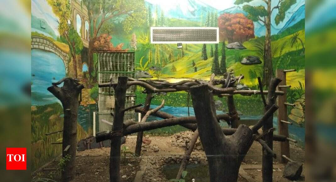 Indore: Snake house charms visitors, footfall up 40% | Indore News ...