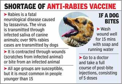 Andhra among top 4 in rabies deaths in country | Hyderabad News - Times ...