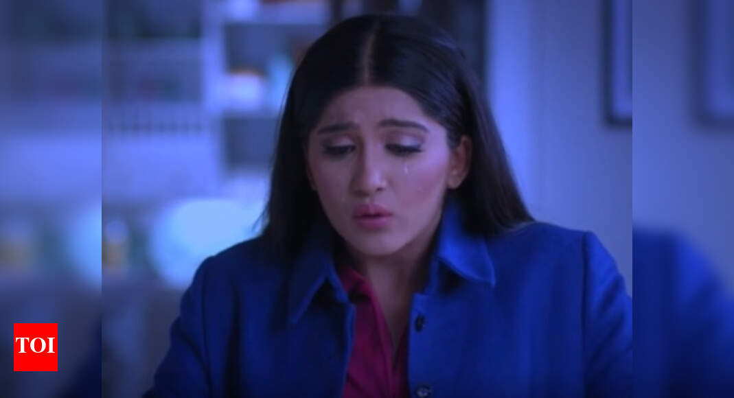 Choti Sardarni written update, November 26, 2019: Sarab delivers ...
