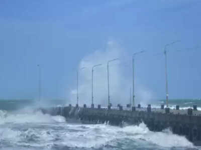 Gaja impact: Tamil Nadu told to assess risk of hazard in all districts ...