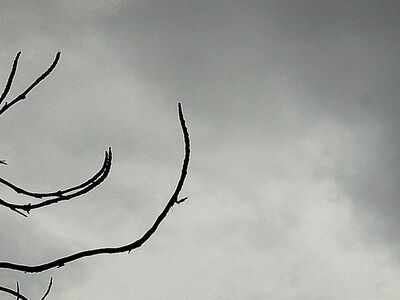 Rain, snow bring down temperatures in Uttarakhand | Dehradun News ...