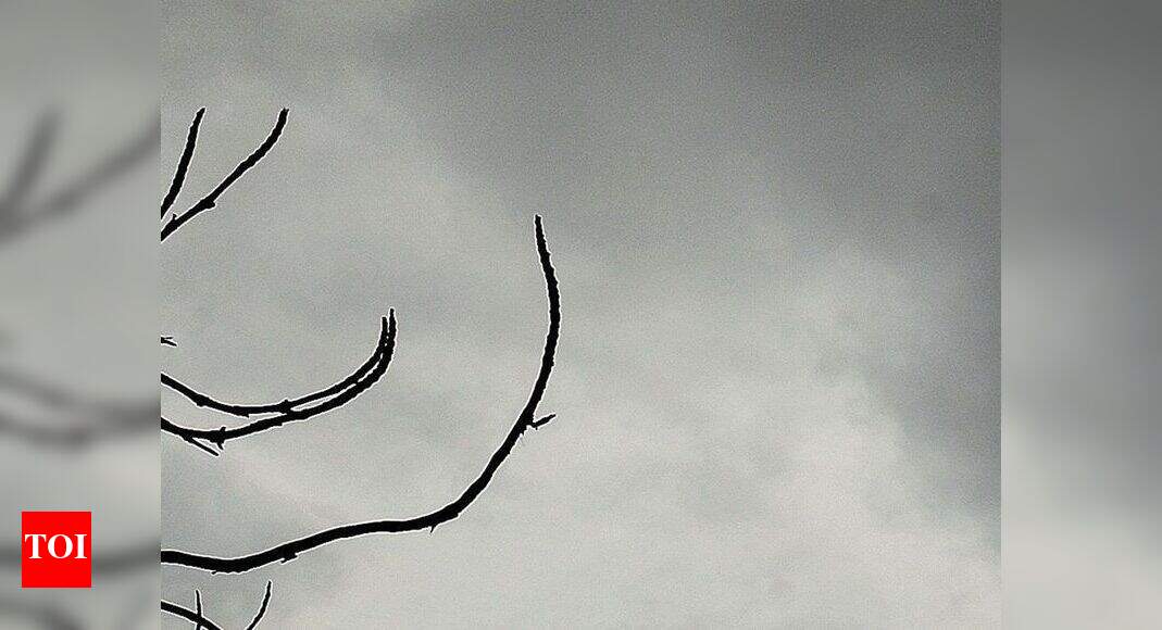 Rain, snow bring down temperatures in Uttarakhand | Dehradun News ...