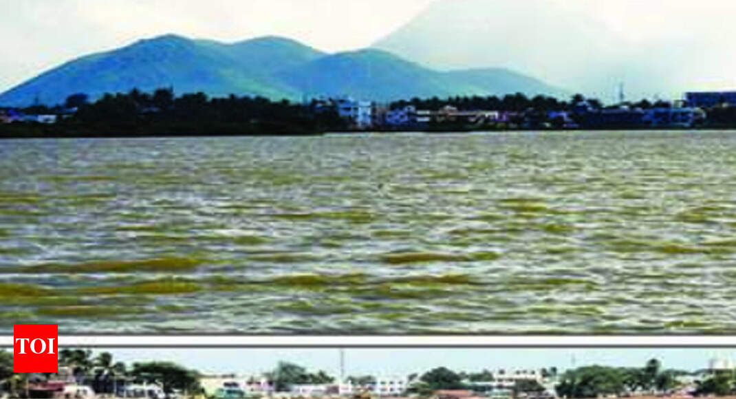 Kurichi lake to get facelift at Rs 52 crore | Coimbatore News - Times ...