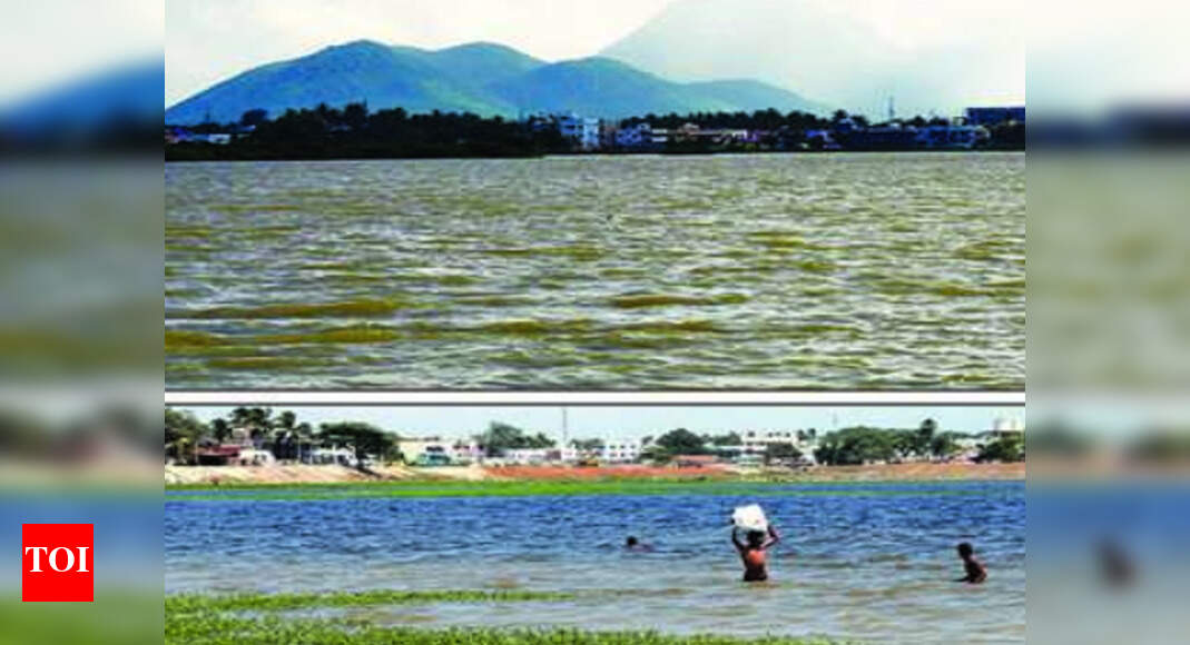 Kurichi lake to get facelift at Rs 52 crore | Coimbatore News - Times ...