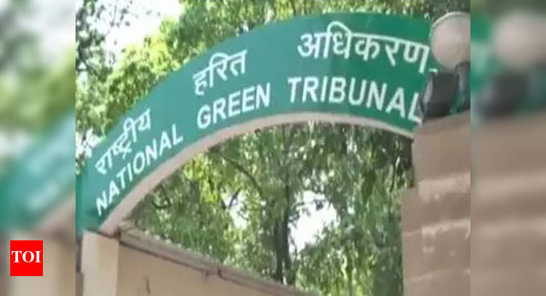 NGT orders Chromeni Steels to halt all activities in Mundra - Times of ...