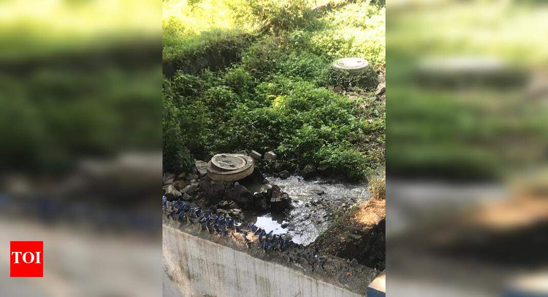 Sewage water in nallah - Times of India