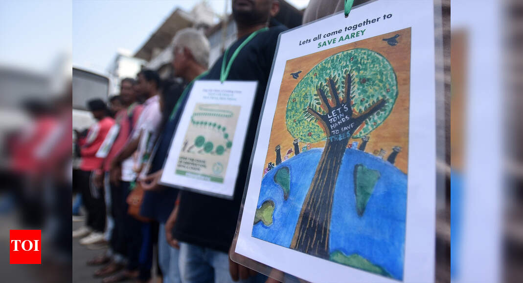 SC’s order means no work can be done where trees were cut: Activist ...