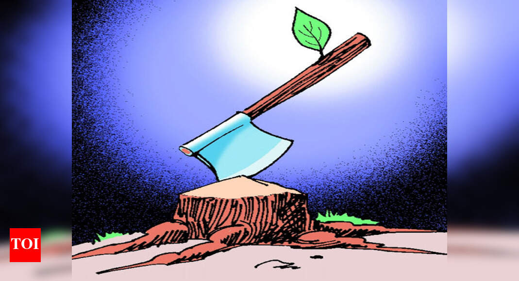 Hyderabad: Residents protest cutting of trees | Hyderabad News - Times ...