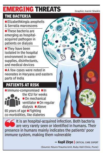 Senior citizen survives rare bacterial infection | Pune News - Times of ...
