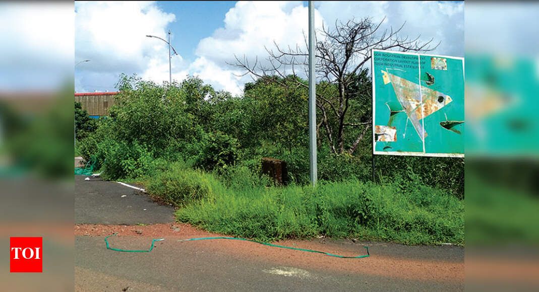 Goa: Rs 10 crore and over 500 jobs lost as GIDC delays Tuem ...