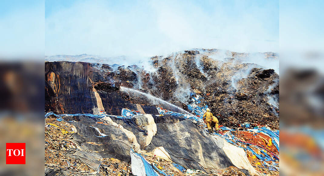 Finally, Sonsoddo legacy waste remediation to begin | Goa News - Times ...