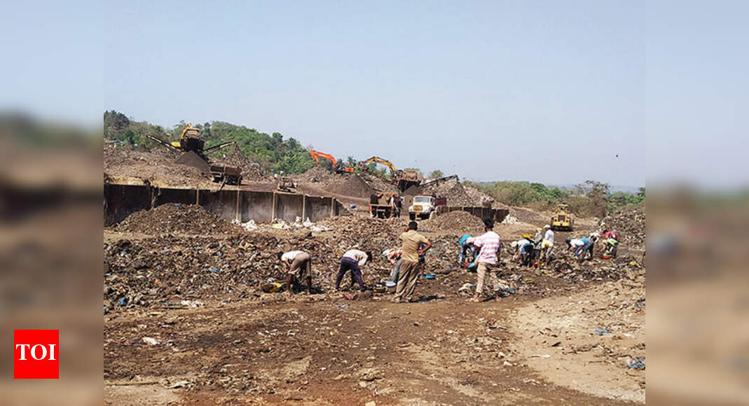 Age-old dump at Cacora nearly rid of all garbage | Goa News - Times of ...