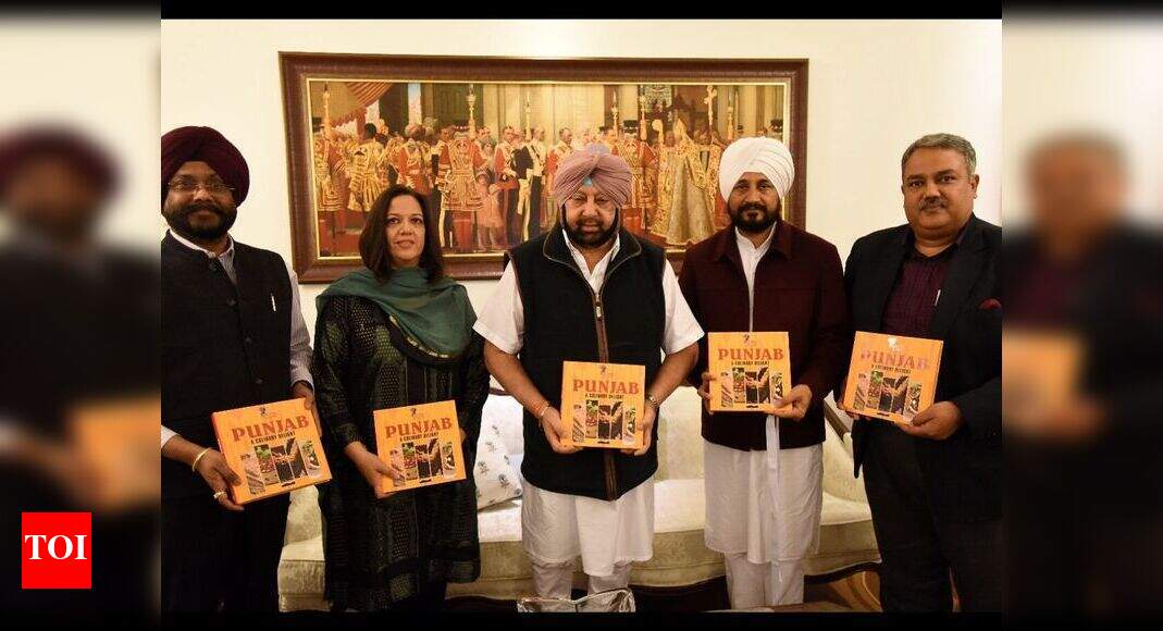 A new cookbook on Punjabi cuisine - Times of India