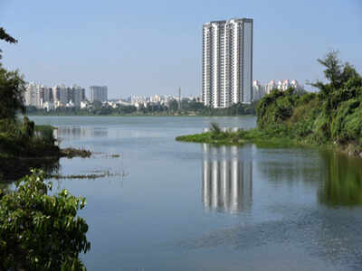 Bengaluru: Hulimavu Lake bund work to begin soon | Bengaluru News ...