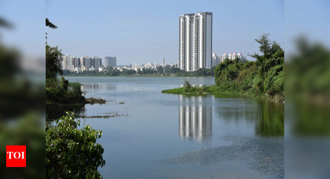 Bengaluru: Hulimavu Lake bund work to begin soon | Bengaluru News - The ...