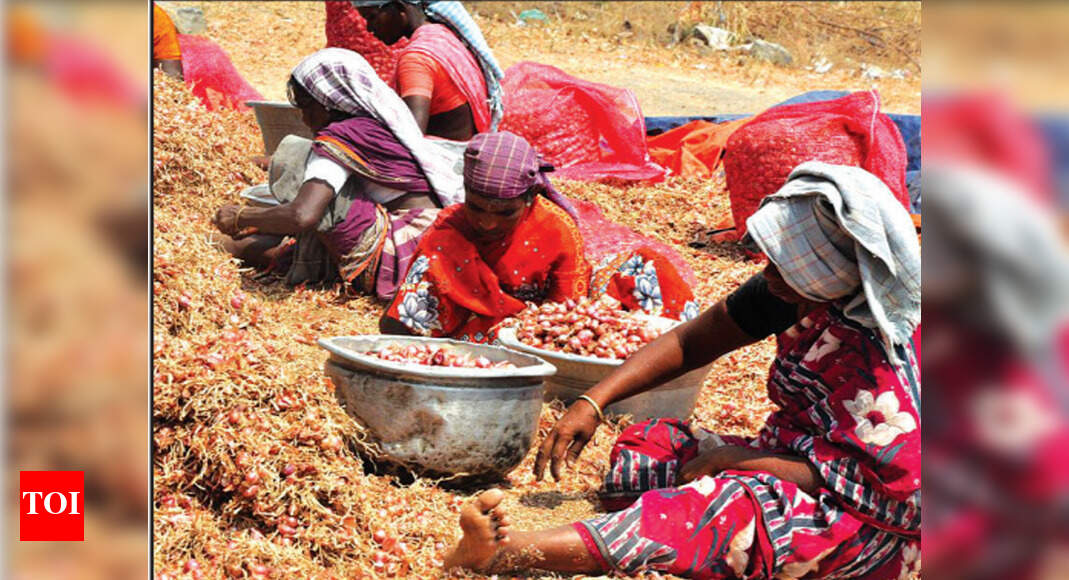 Lack of labour, seeds deter cultivation in Goa: Farmers | Goa News ...