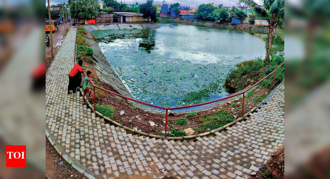 Chennai Corporation To Form Panel To Monitor Water Bodies Chennai