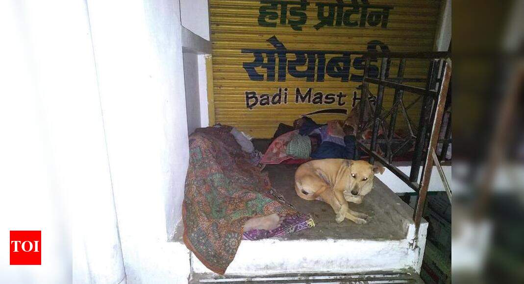 Cold truths: No bonfires, few shelters for homeless | Lucknow News ...