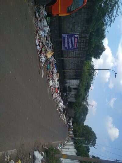 No dust bin - Times of India