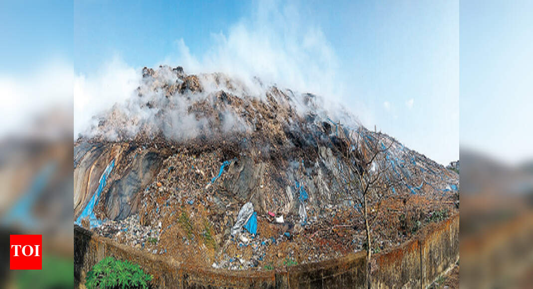 Now, Goa State Pollution Control Board to test garbage to determine ...