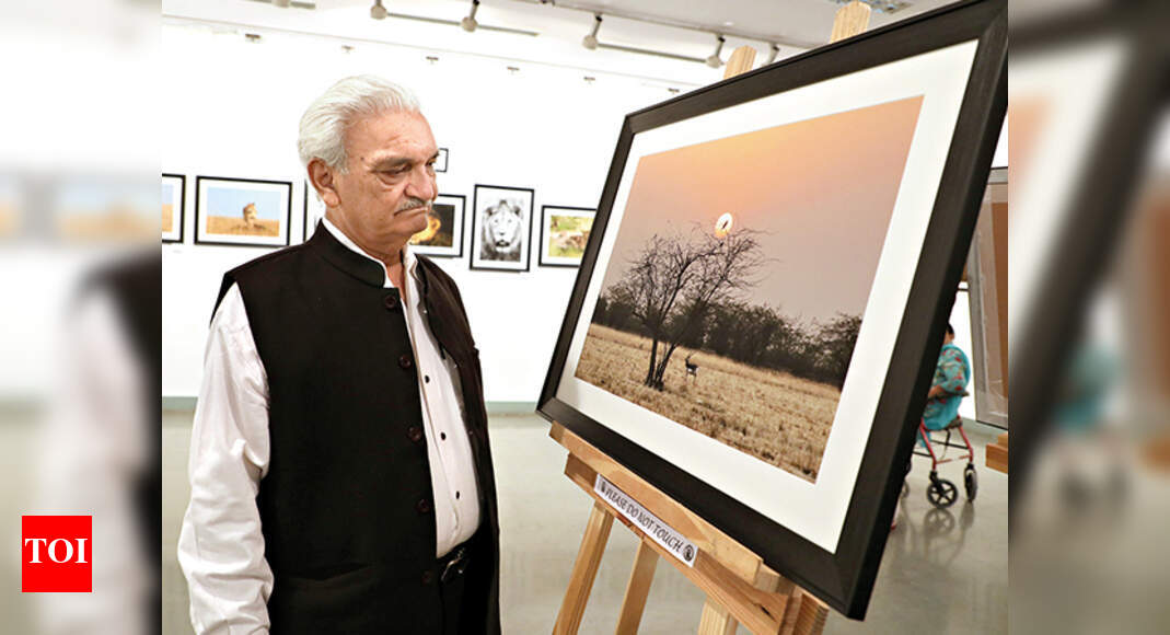 Wildlife gets captured on lens in Lucknow | Events Movie News - Times ...