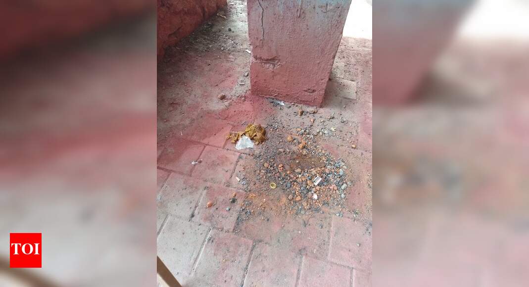 Open Defecation Nuisance Everyday - Times of India