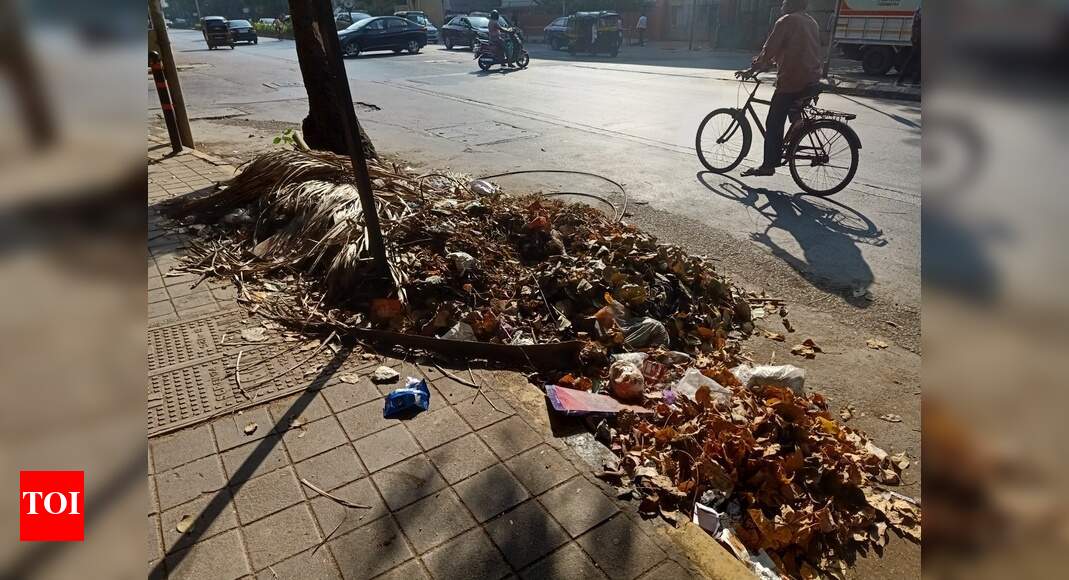 GARBAGE ON MAIN ROAD - Times of India