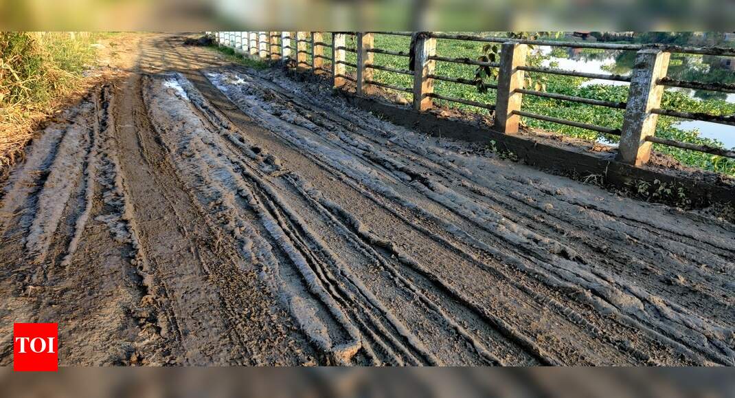 DIrt from Perandoor Canal - Times of India