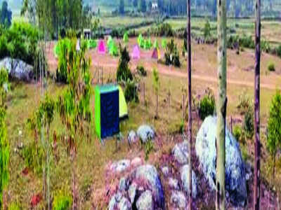 Tribal leaders upset as revellers disfigure Lammasingi landscape ...
