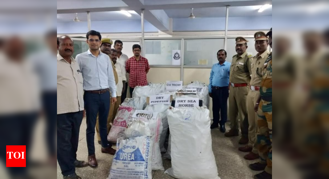 175kg of dry pipefish and seahorses seized from history-sheeter in ...