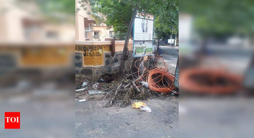 waste of public money - The Times of India
