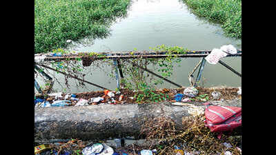 Goa: Creeks, fields in Benaulim turn into dumping grounds | Goa News ...