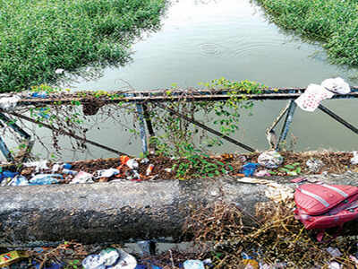 Goa: Creeks, fields in Benaulim turn into dumping grounds | Goa News ...