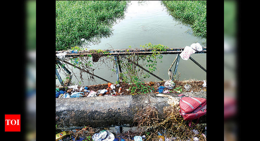 Creeks, fields in Benaulim turn into dumping grounds | Goa News - Times ...