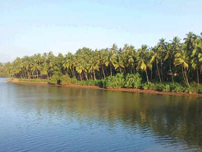 Where the land is green and men are brave | Goa News - Times of India