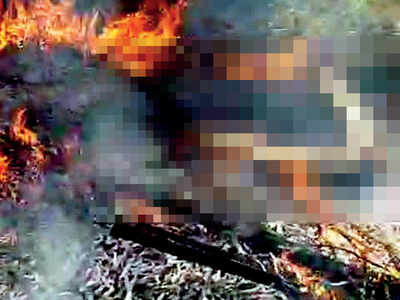 Three held for burning python in Gujarat | Vadodara News - Times of India