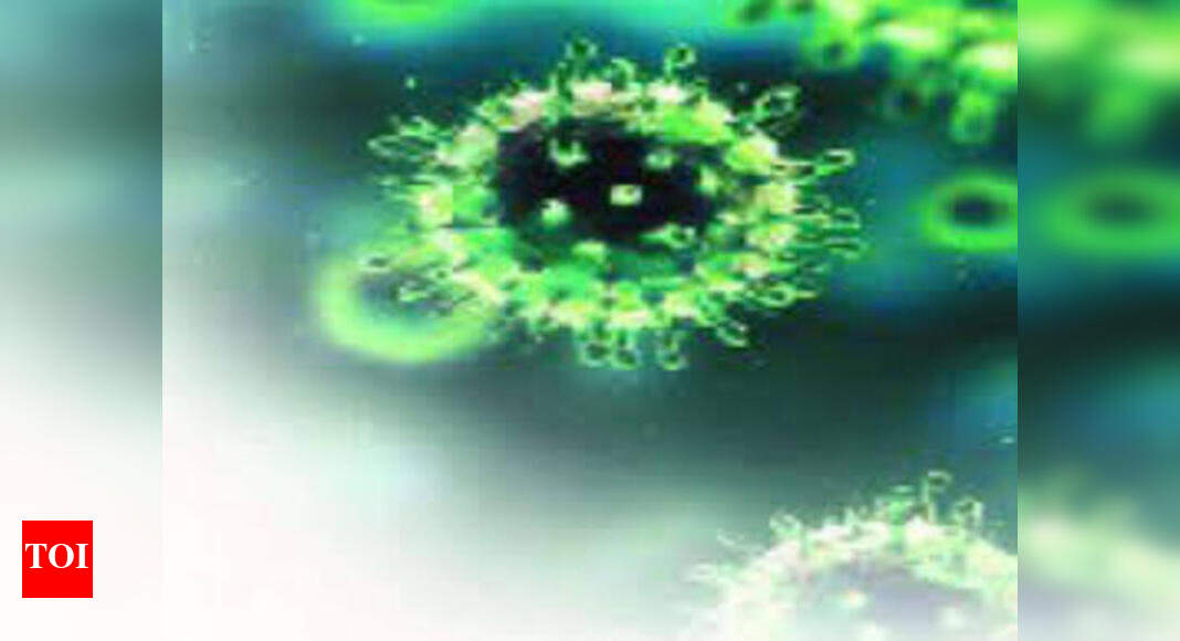 'How body becomes prone to rotavirus infection decoded' - Times of India