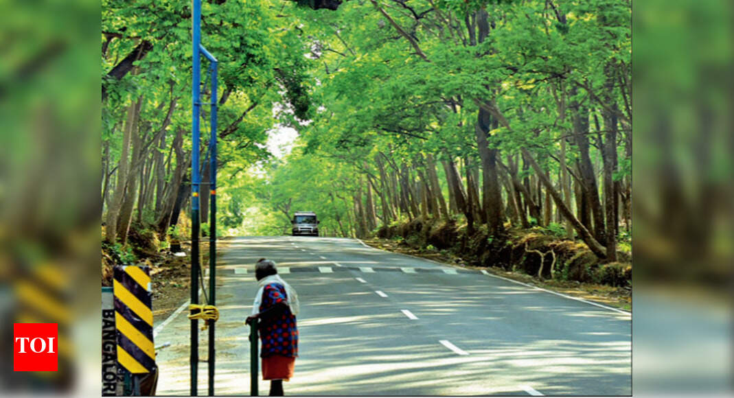 NH 766: Kerala’s affidavit in apex court raises eyebrows | Kozhikode ...