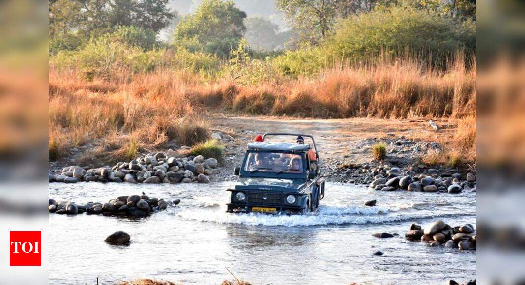 CAA, NRC protest fallout: Bookings in Corbett, Nainital take a hit ...