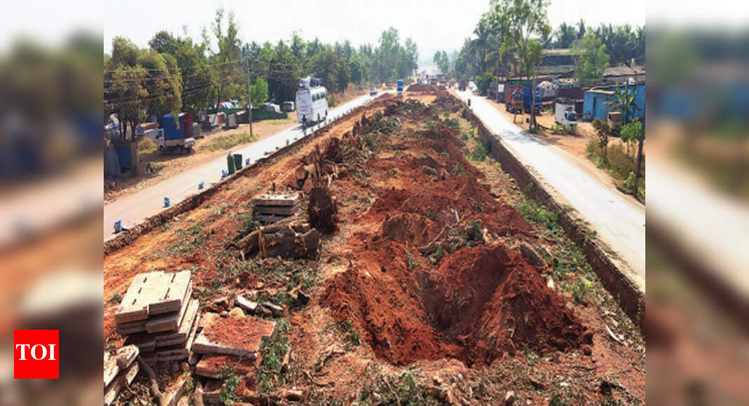 ‘Realignment at Colvale would have affected vehicle movement’ | Goa ...