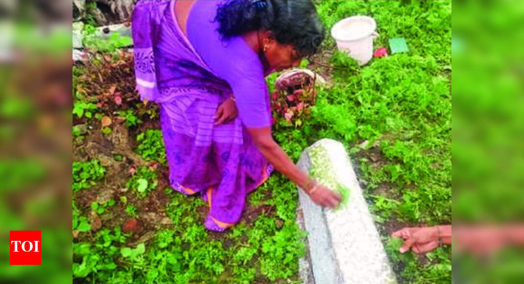 TN: Vattezhuthu script discovered on stone in Kovilpalayam | Coimbatore ...