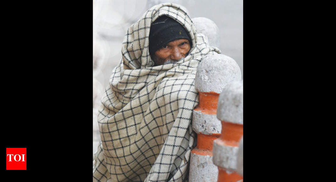 Wrap yourself tightly to keep body warm | Delhi News - Times of India