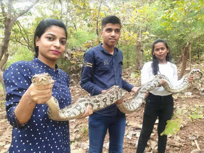 Mumbai: Eight-feet long Indian rock python rescued from Mulund | Mumbai ...